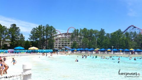 Soak City Water Park at Kings Dominion: Have the Time of Your Life ...