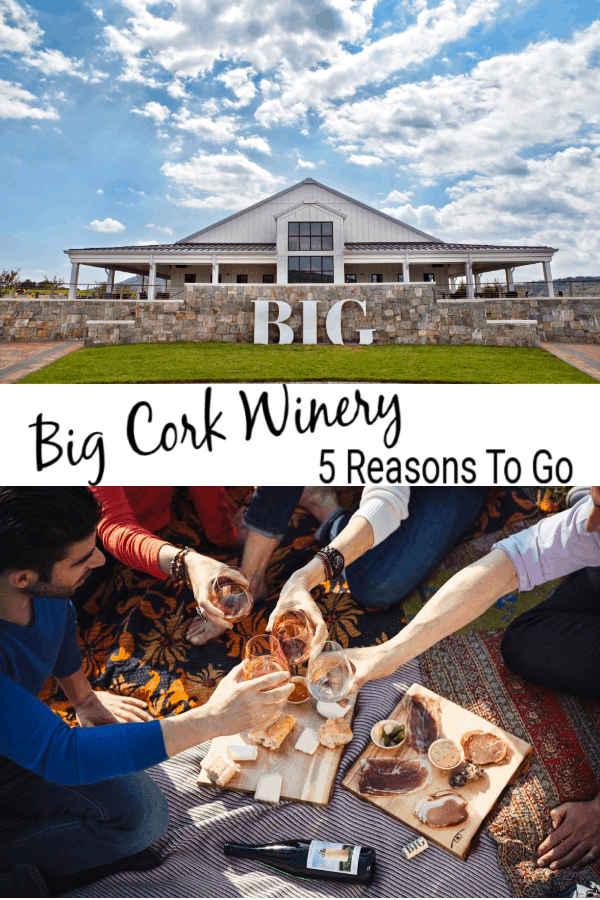 Big Cork Winery: 5 Reasons You Must Visit - Housewives of Frederick County