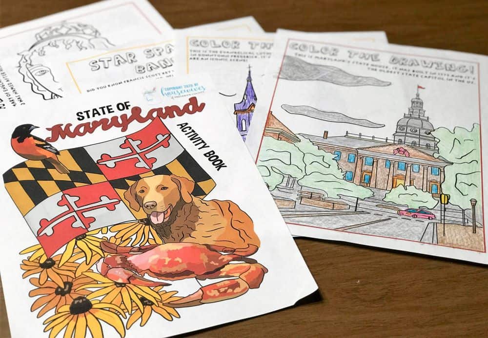 Maryland Kids Activity Book: Educational & Fun! - Housewives of ...