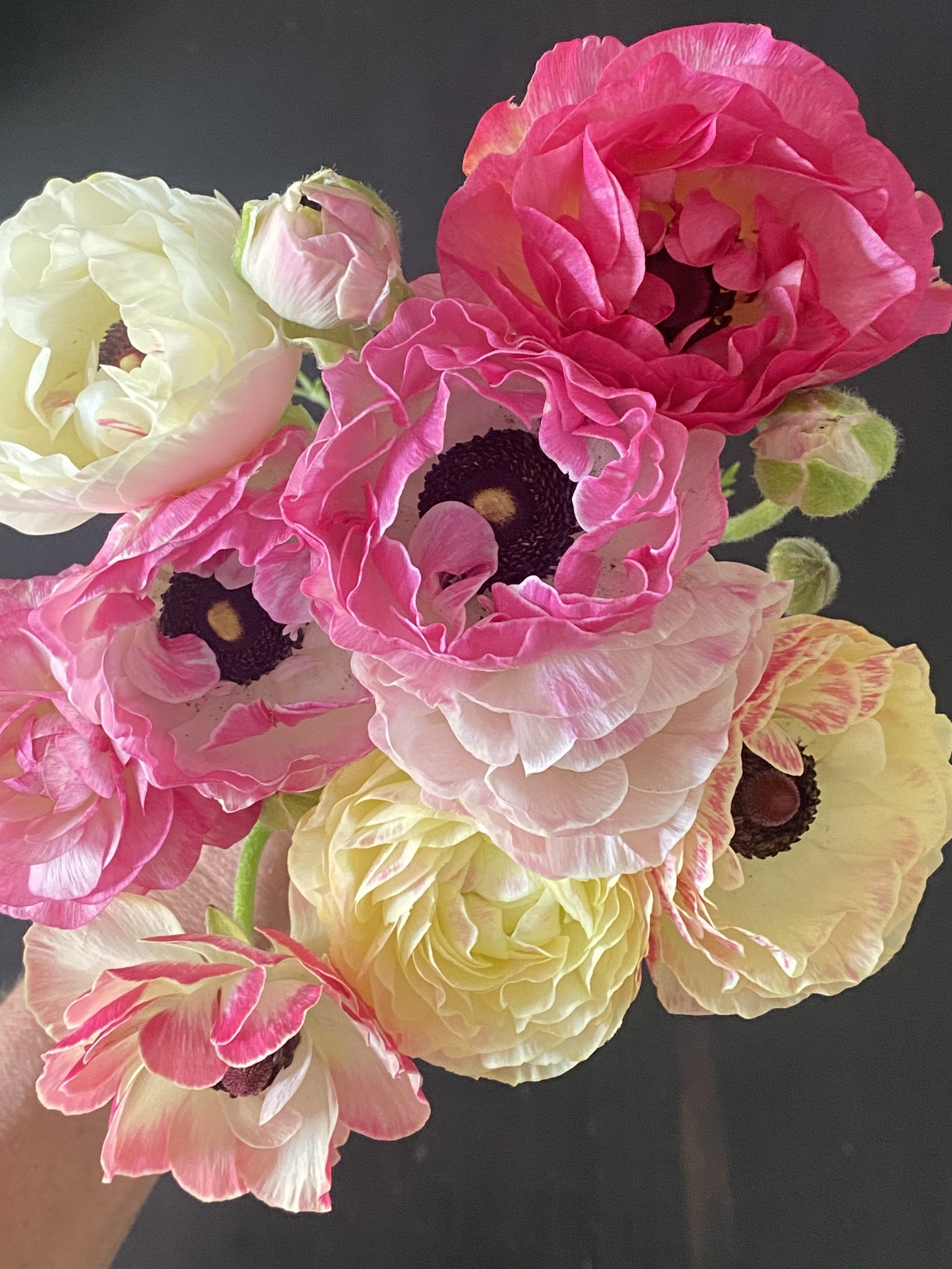 Fresh-Cut Flowers in Frederick County | Local Farms & U-Pick