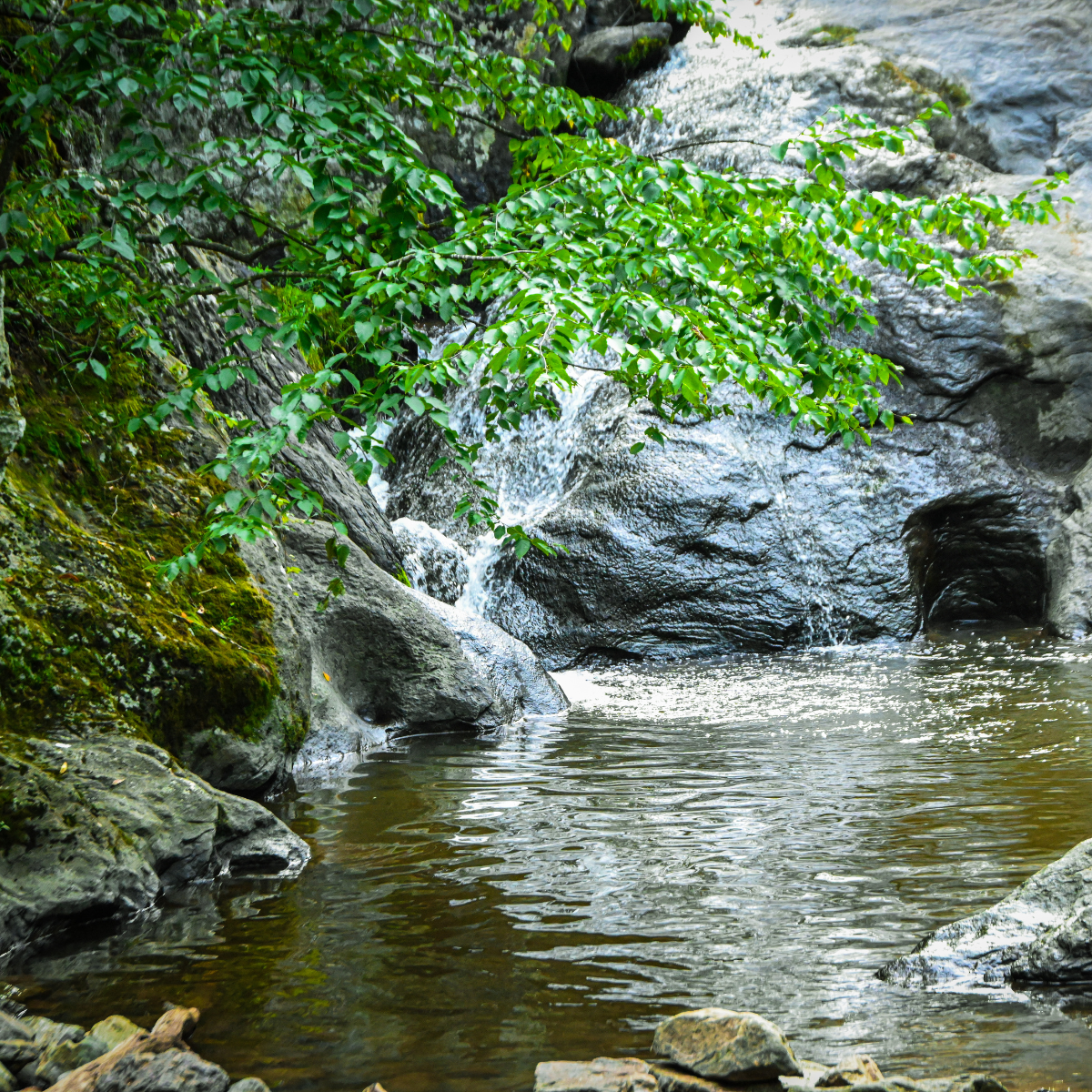 Cunningham Falls State Park: Hiking Trails, Lake, and Waterfall Day ...